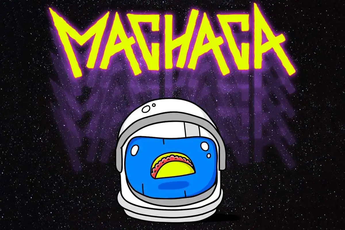 Machaca Fest 2019 ¿la diversidad es buena o mala?