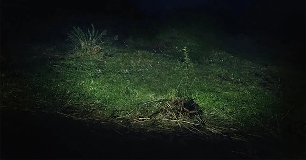 Sen Senra lanza el Vol. II de PO2054AZ